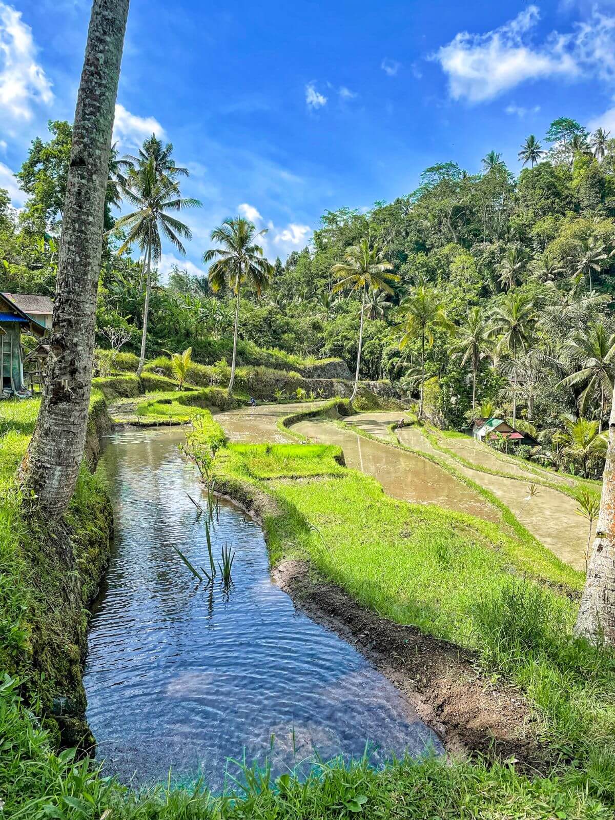 Bali Travel Tips - alikainwanderlust.com